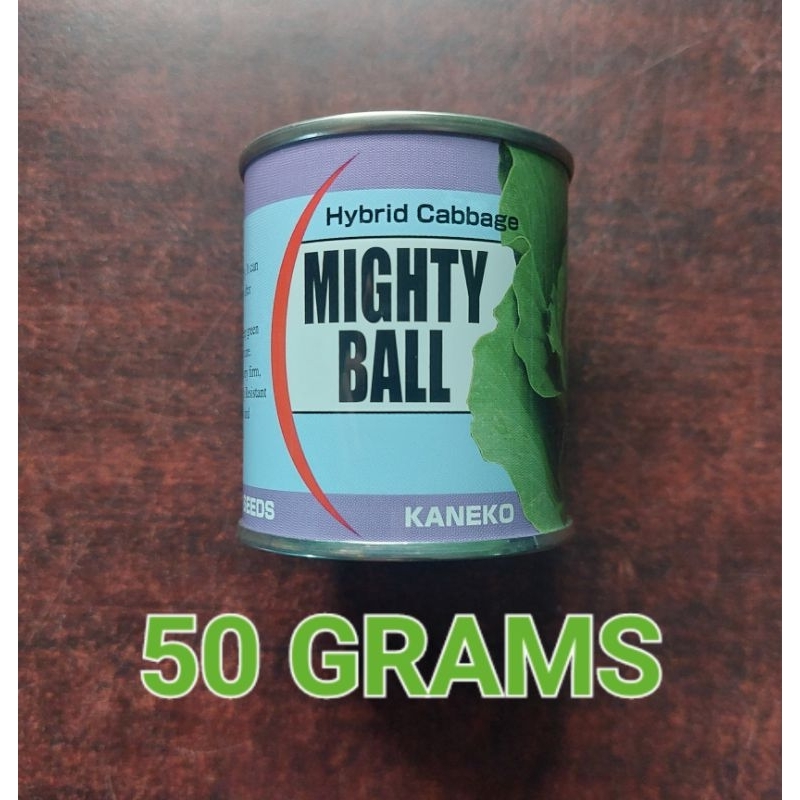 MIGHTY BALL (50 GRAMS) HYBRID CABBAGE SEEDS / REPOLYO SEEDS BY KANEKO ...