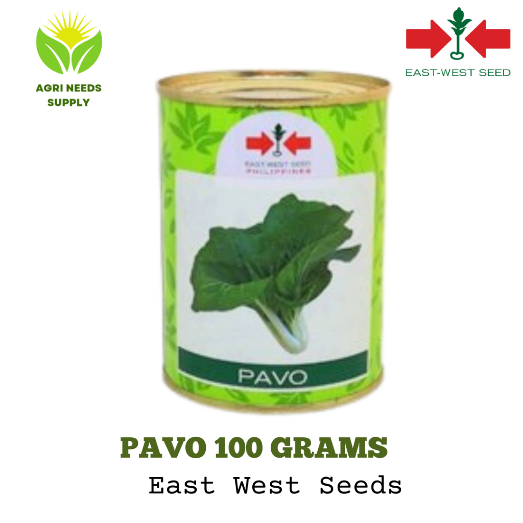 Pavo (Pechay) East West Seed ( 100gms ) | Shopee Philippines