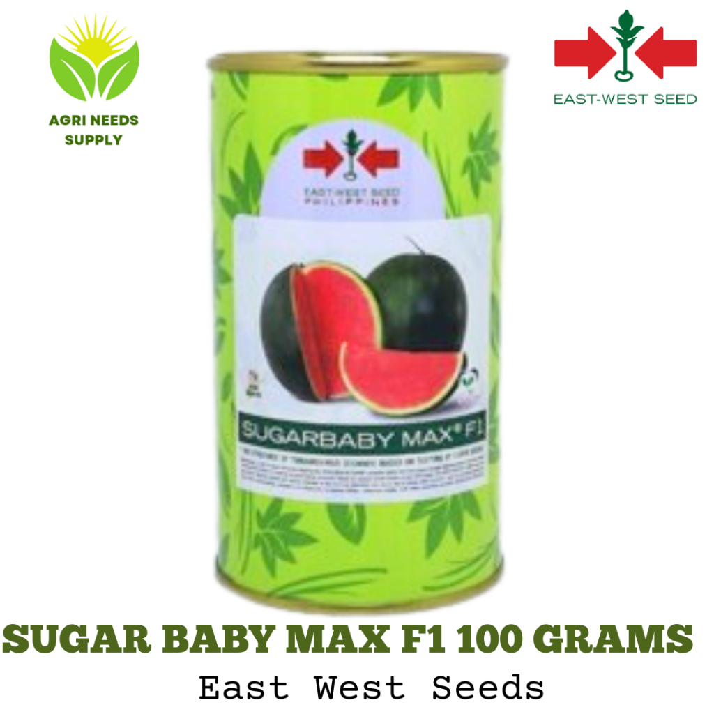 Sugarbabax F1 WaterMelon Pakwan Seeds Sugar baby Max East West Seed ...