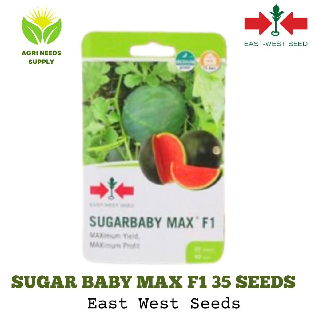 Sugar Baby Max F1 East West Seed Watermelon (Pakwan) 35seeds | Shopee ...