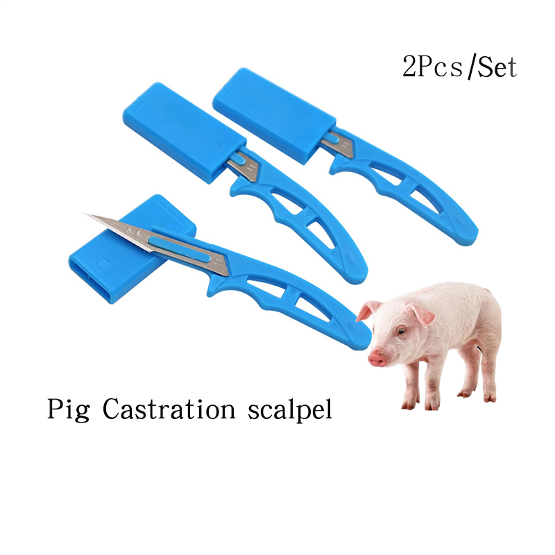 2Pcs 10#/11#/12# Blades Stainless Steel Pig Castration tools for Piglet ...