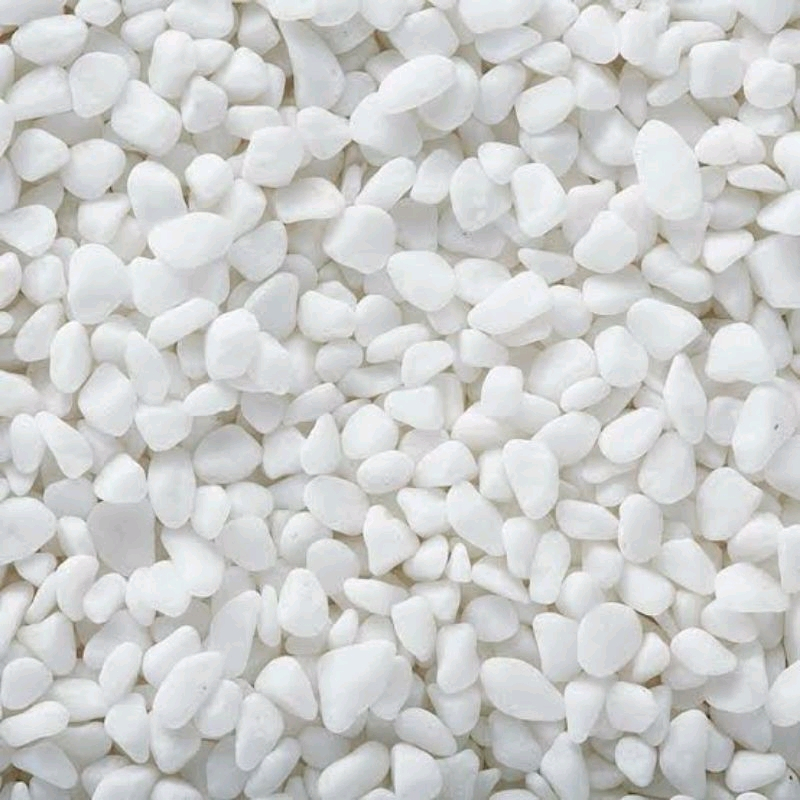 Small Pebbles Stone Pure White | Shopee Philippines