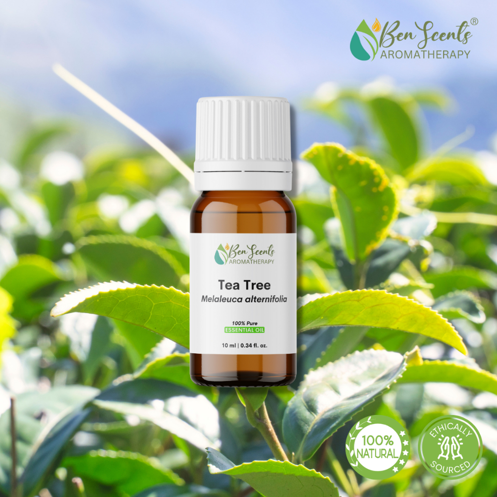 Tea Tree Essential Oil 100% Pure Undiluted Plant Based | Shopee Philippines