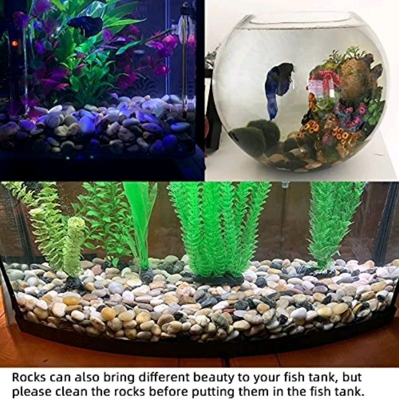 River rocks Pebbles stone( Garden & Aquarium Fish tank ) | Shopee ...