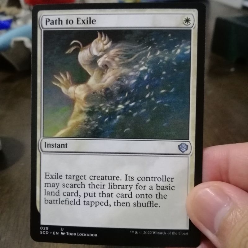 1 RANDOM EXPANSION Path to Exile MTG card magic commander EDH | Shopee ...