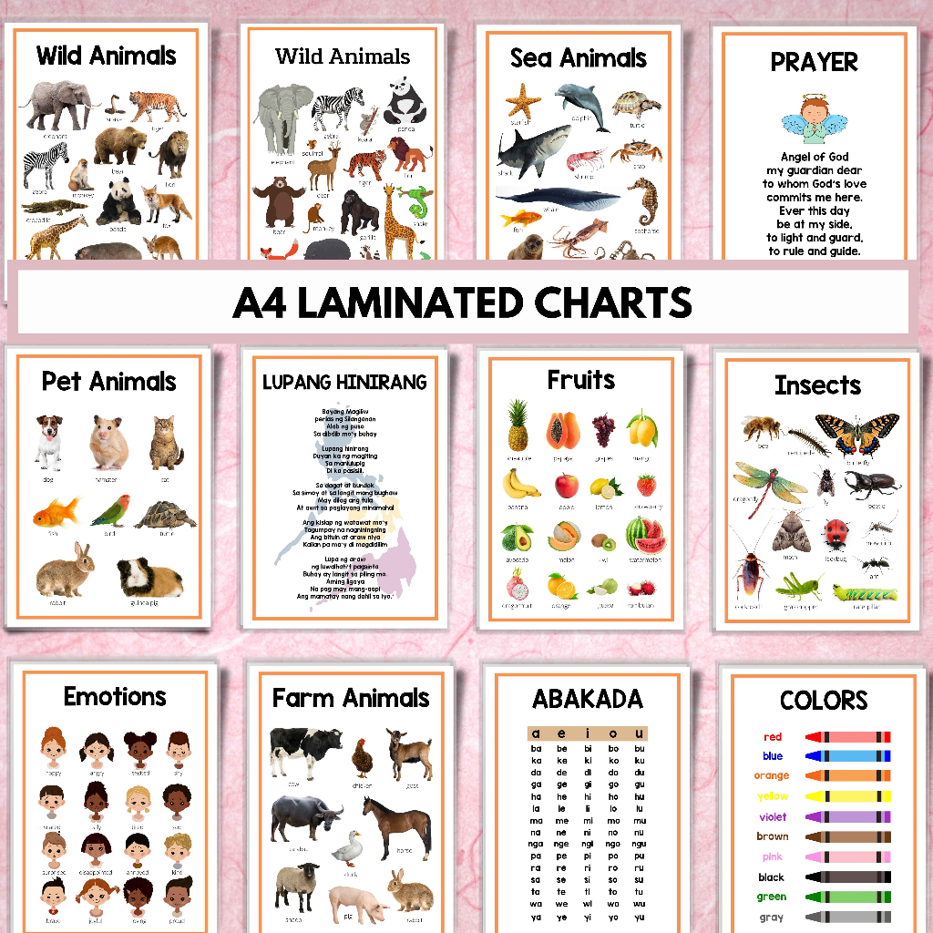 A4 LAMINATED EDUCATIONAL WALL CHARTS FOR KIDS (MINIMALIST - A) | Shopee ...