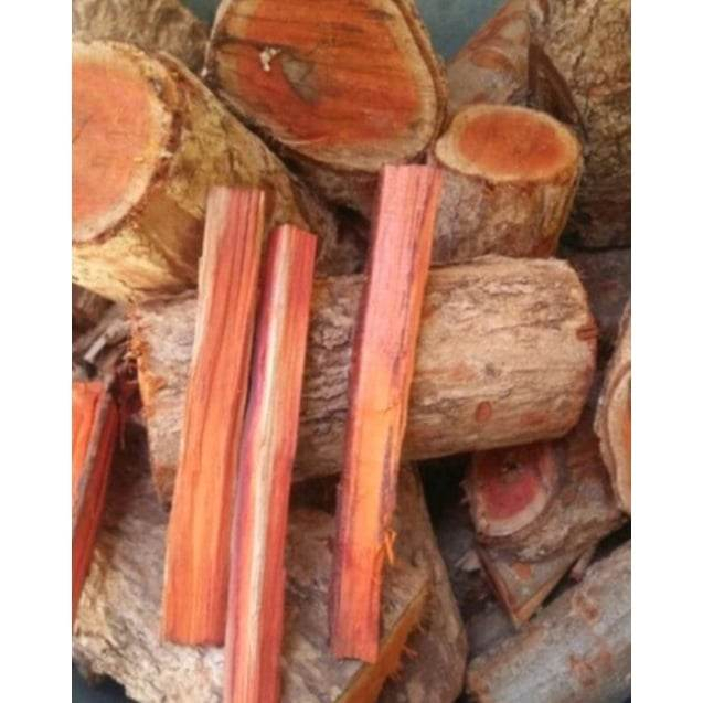 Red Alingatong Roots Miracle Tea Red Sibukaw Traditional Herbal Tea 100 ...
