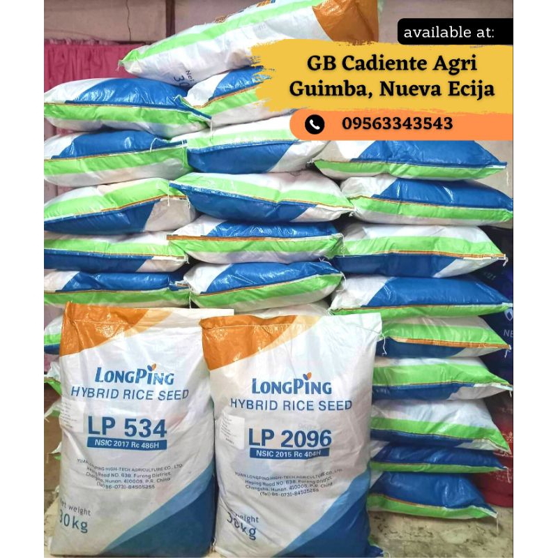 3kg LongPing 2096 | 937 | 534 | 908 Hybrid Rice Seed | Guaranteed ...