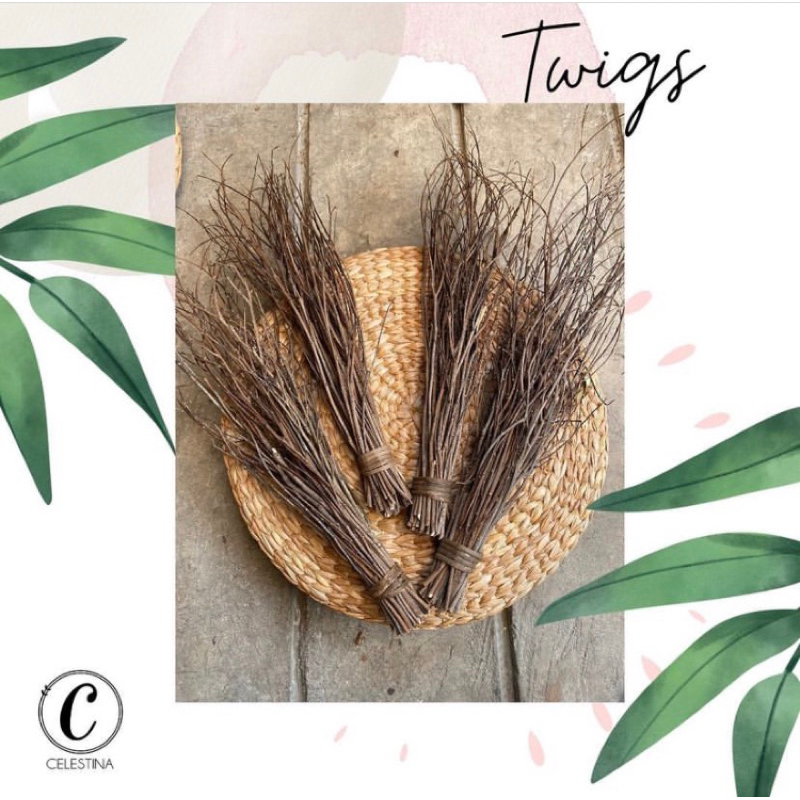 Twigs per Bundle/ Twigs for Decor | Shopee Philippines