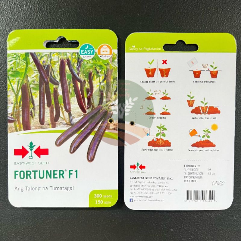 FORTUNER F1 EAST WEST SEED HYBRID EGGPLANT TALONG VEGETABLE SEEDS GO ...