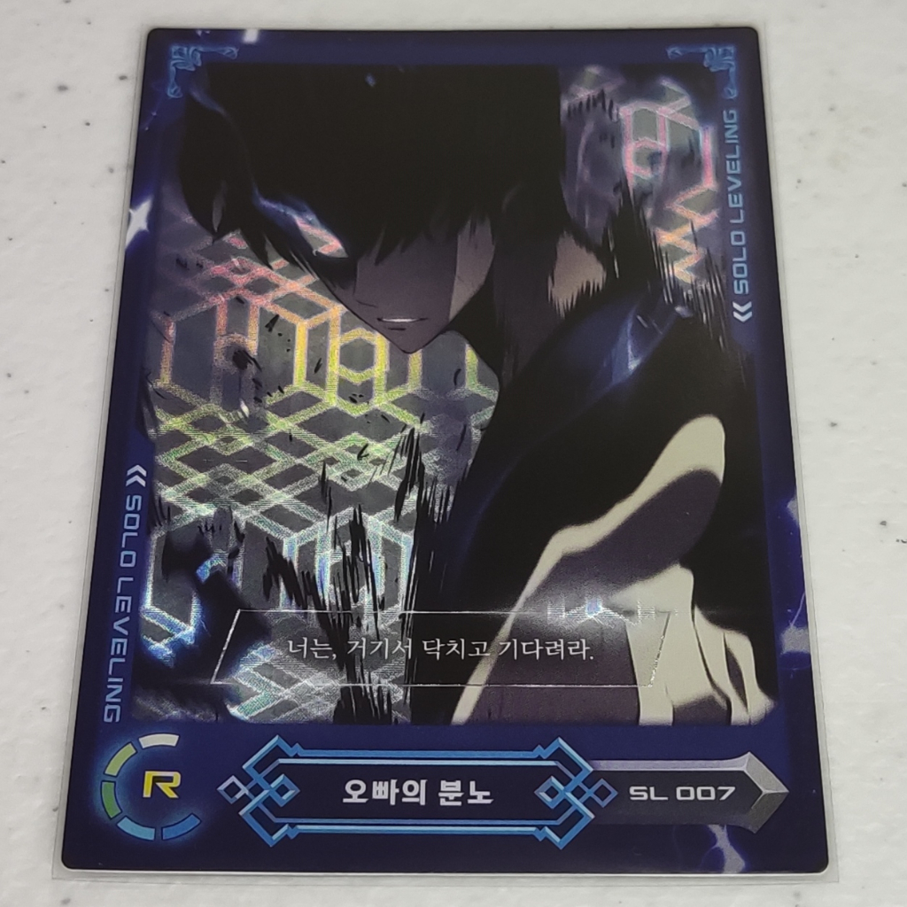 Solo Leveling D&C Webtoon Official Cards Volume 1 R SL 007 | Shopee ...