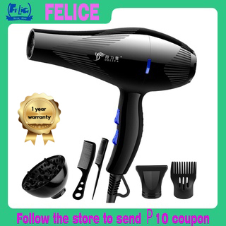 Hair Dryer Hair Salon Blower 2200W Professional With 5 Gifts DLY-8039 ...