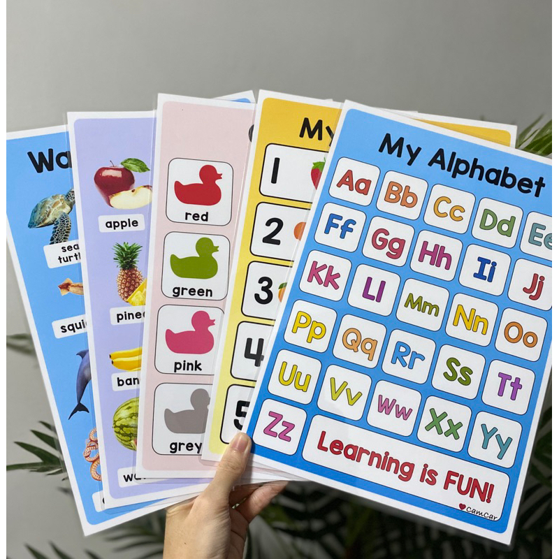 A4 LAMINATED EDUCATIONAL WALL CHARTS abc numbers colors shapes ...