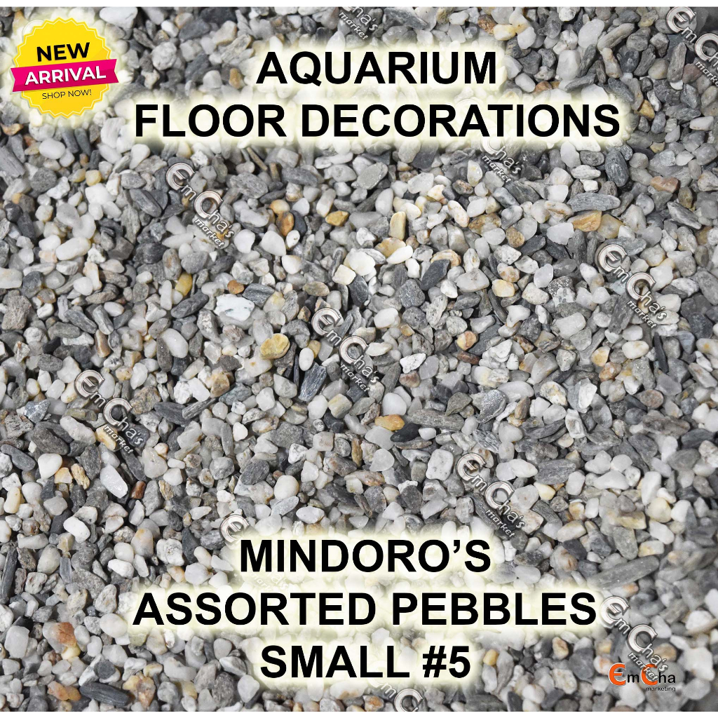 1kg Mindoro Assorted Pebbles (SMALL SIZE #5 PEBBLES) Aquarium Bedding ...