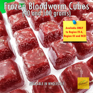 FROZEN BLOODWORM CUBES (WHOLESALE) fish food pet food | Shopee Philippines