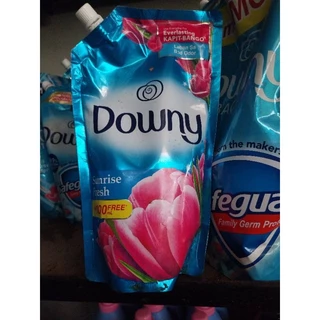 downy - Best Prices and Online Promos - Aug 2024 | Shopee Philippines