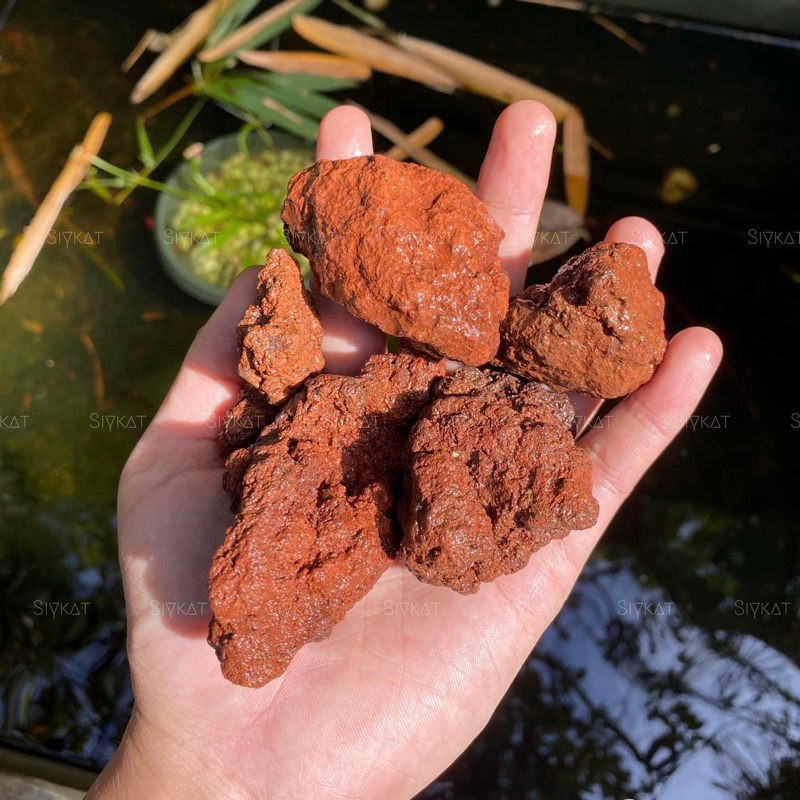 BLACK SAND LAVA BITS LAVA ROCK SUBSTRATE | Shopee Philippines