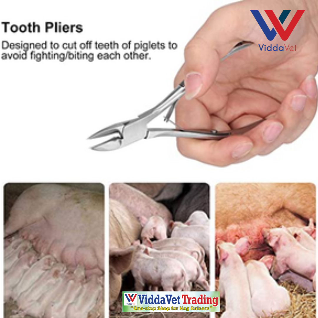 Stainless Steel Pig Piglet Tooth Cutter Tooth Pliers Distal Piglet ...