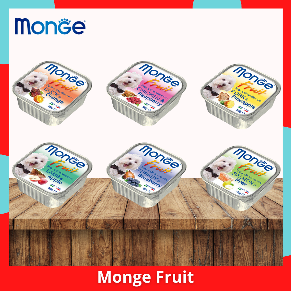 Monge Fruit Wet Food for Dogs 100g | Shopee Philippines