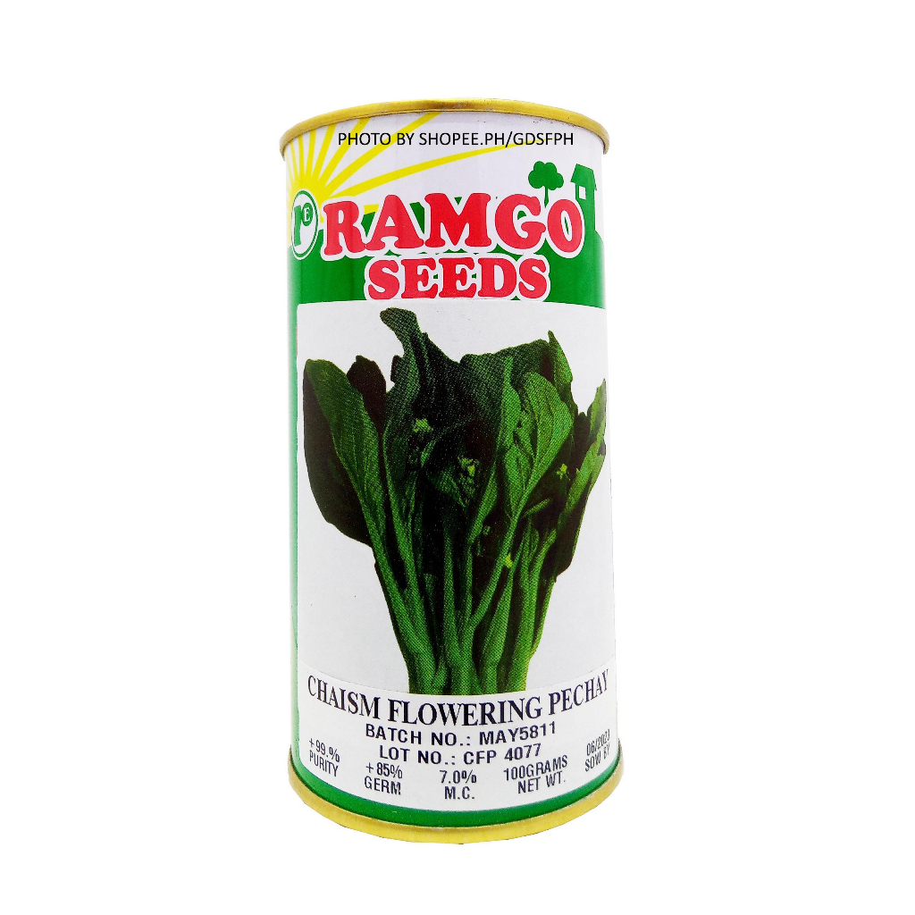 Ramgo Seeds Tin Can Chaism Flowering Pechay 100g GDSFPH_S4 | Shopee ...