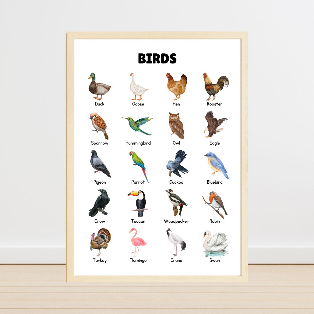 ANIMALS A4 Laminated Educational Wall Charts and Posters for Kids and ...