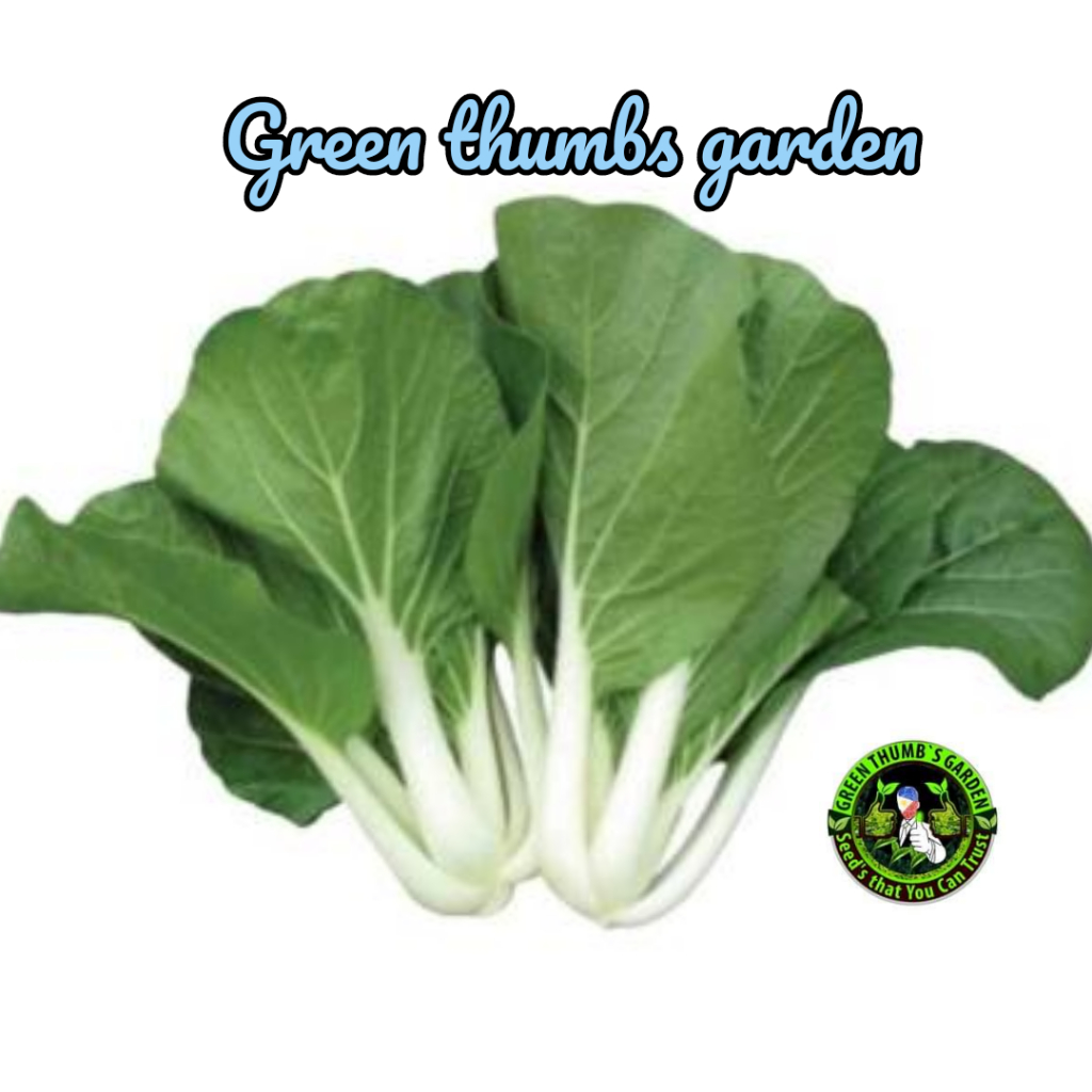PECHAY SEED`S "HARI DIGMA" FAST GROWING. | Shopee Philippines