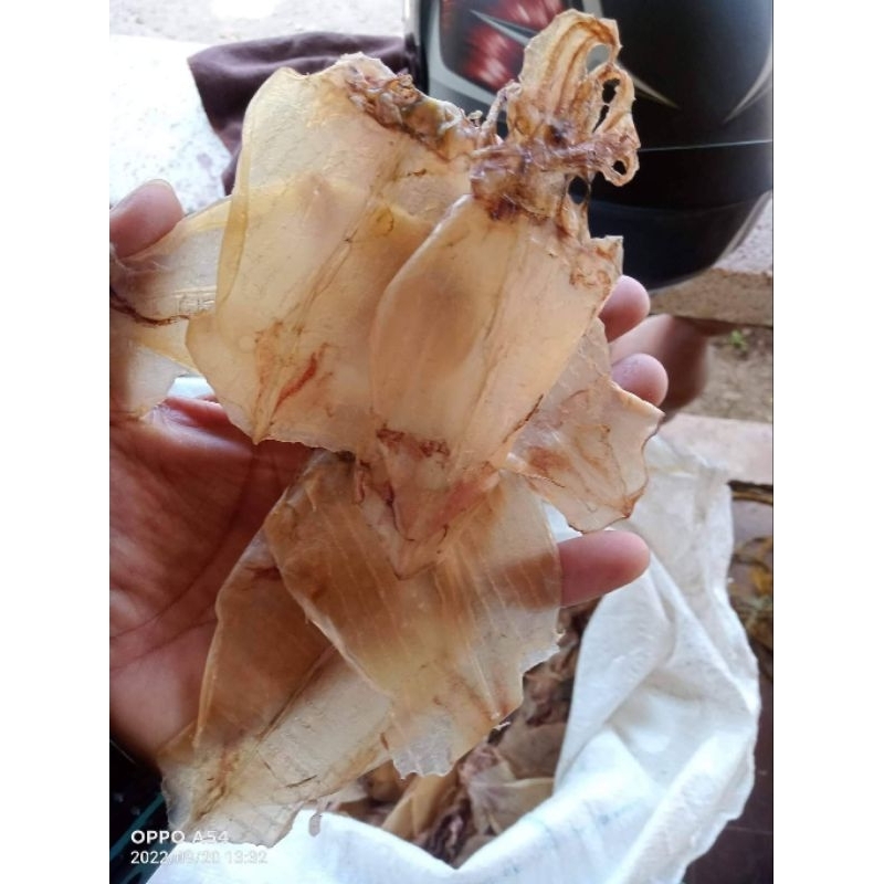 Unsalted Dried Skinless Pusit 50grams per pack | Shopee Philippines