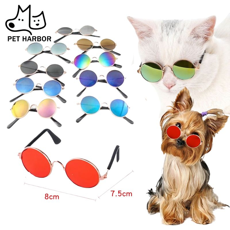 Pet Glasses Fashion Cute Dog Glasses Cat Glasses Puppy Eyeglasses Cat ...