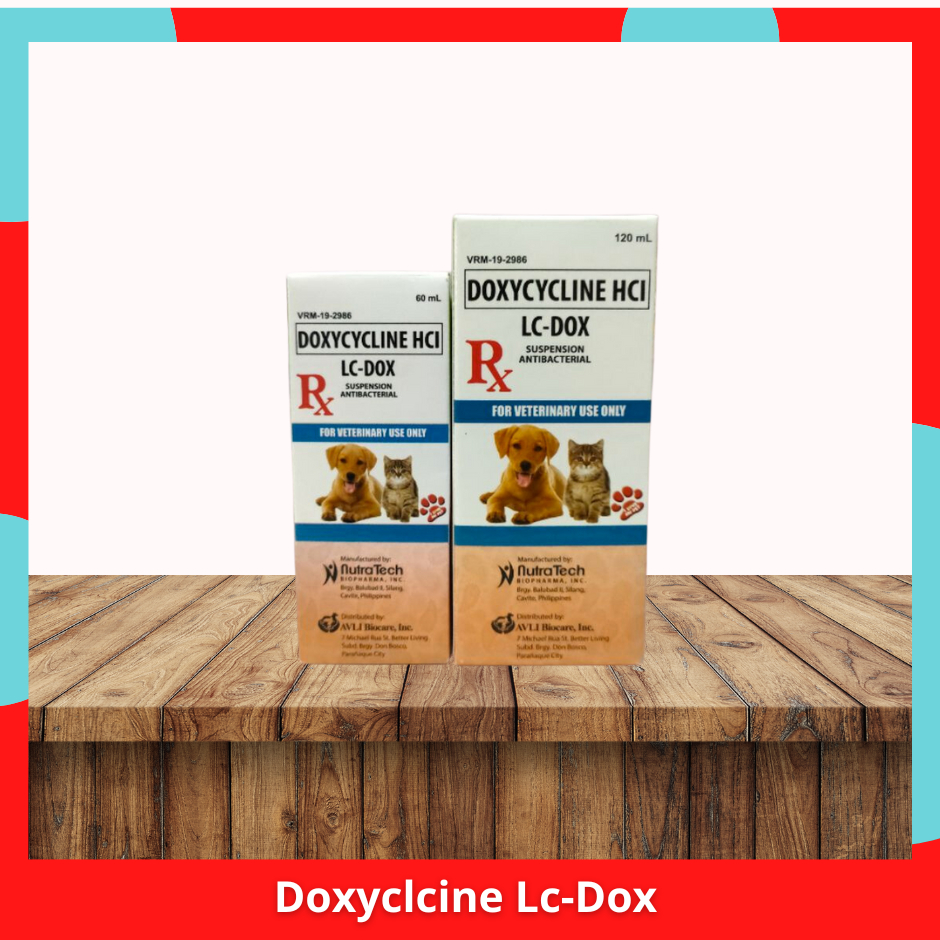 Doxycycline Lc-Dox Suspension l Enrocare l Methiovet l for Dogs and ...