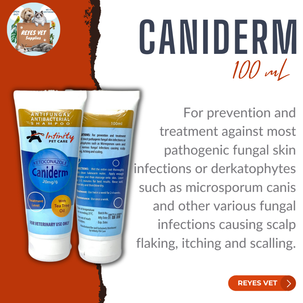 [VET SUPPORT] Caniderm Antifungal & Antibacterial Shampoo 100mL for ...