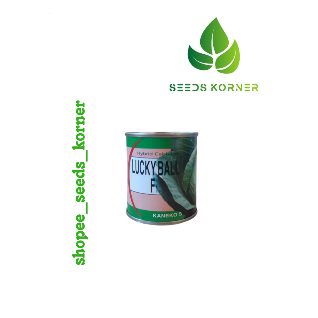 Kaneko Seeds Cabbage (Repolyo) Lucky Ball in 50 grams can | Shopee ...