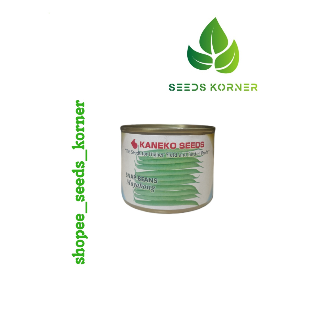Kaneko Seeds Snapbeans mayabong / Baguio beans in 100 grams can ...