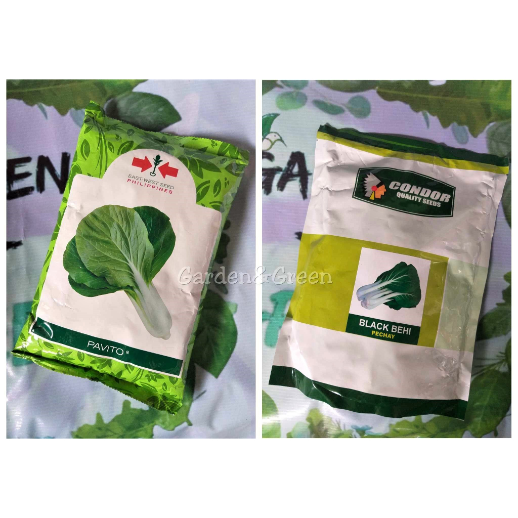 PECHAY SEEDS-PAVITO-BLACK BEHI SEEDS | Shopee Philippines