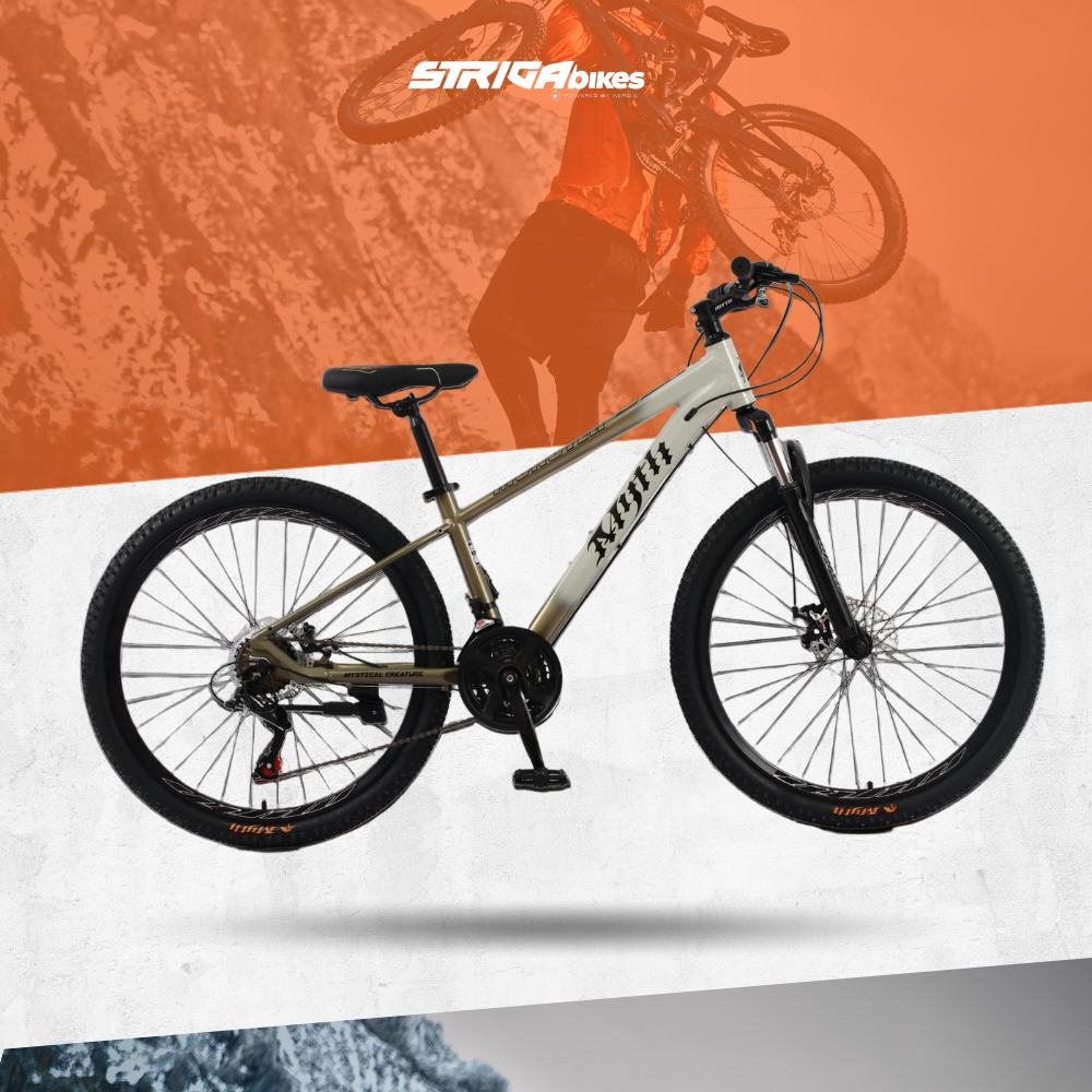 Myth Monster Budget Alloy MTB 26er | Shopee Philippines