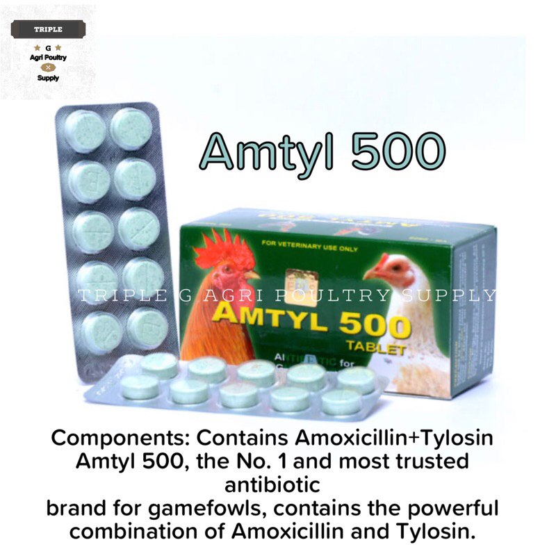 Amtyl 500 1box (100 tablets) | Shopee Philippines