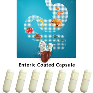 100 Holes 0# Capsule Powder Filling Machine Encapsulator Capsule ...