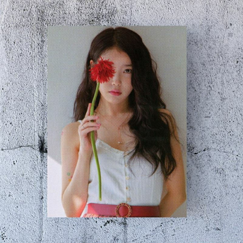 IU A4 Size Wallpaper Poster | Shopee Philippines
