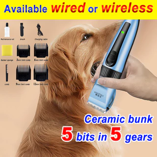 dog razor - Best Prices and Online Promos - Aug 2024 | Shopee Philippines