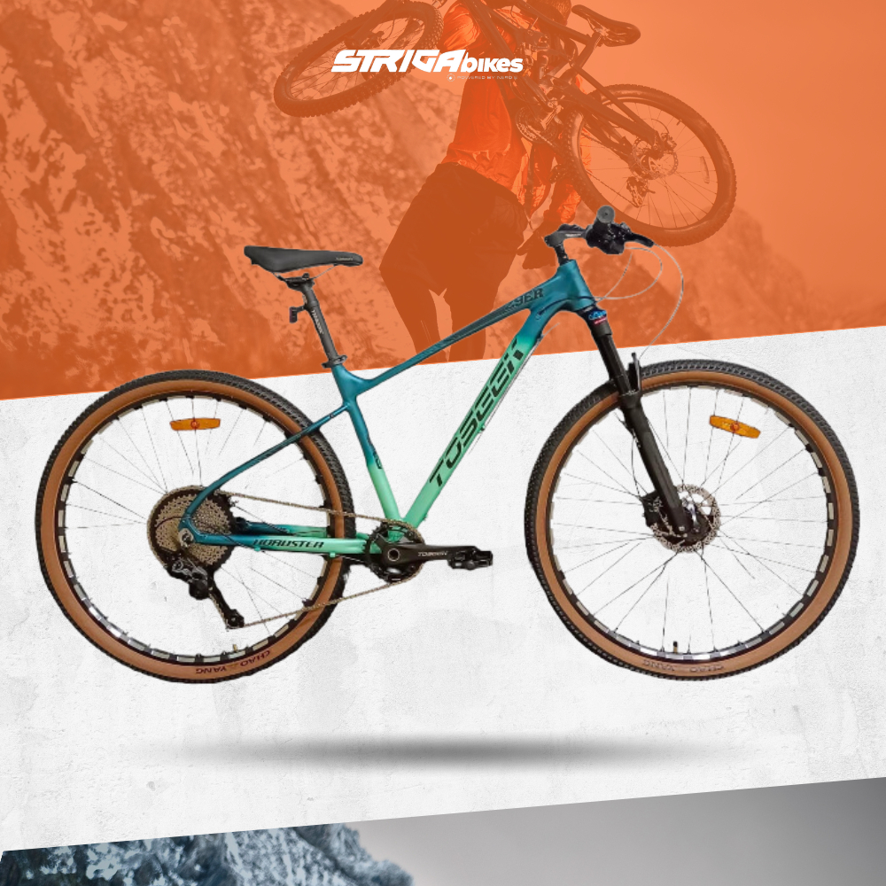 Toseek Roadster v2 13 Speed 29er | Shopee Philippines