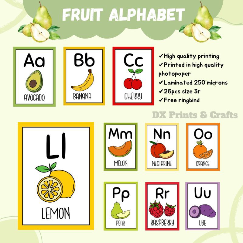Laminated Flash Cards for kid's learning (Fruit/Animal Alphabet ...