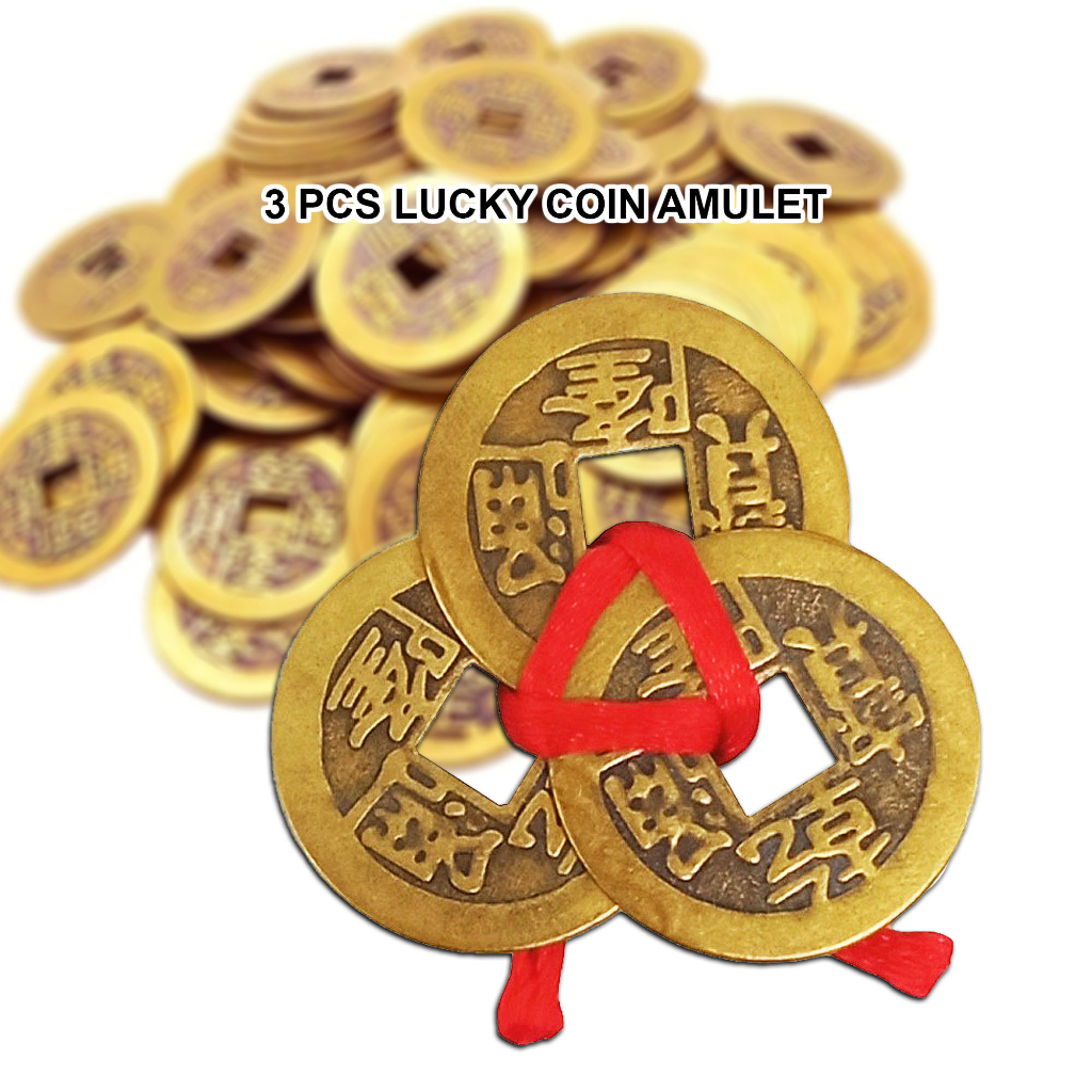 Ziyang Coins Amulet Lucky Charms Wealth Prosperity Success Good Luck ...