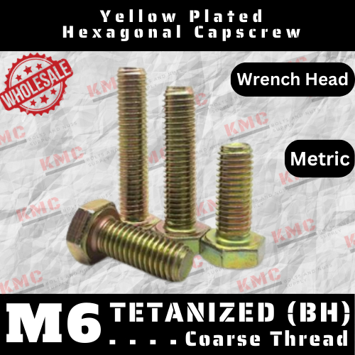 100pcs - Hex Capscrew M6 / Hex Bolt (Tetanized / Gold Plated / Yellow ...