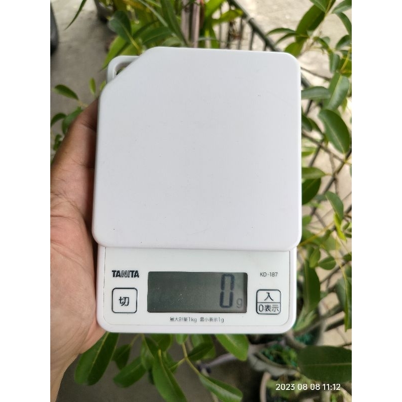 Kitchen Scale Tanita Precise Kitchen Scale 1kg | Shopee Philippines