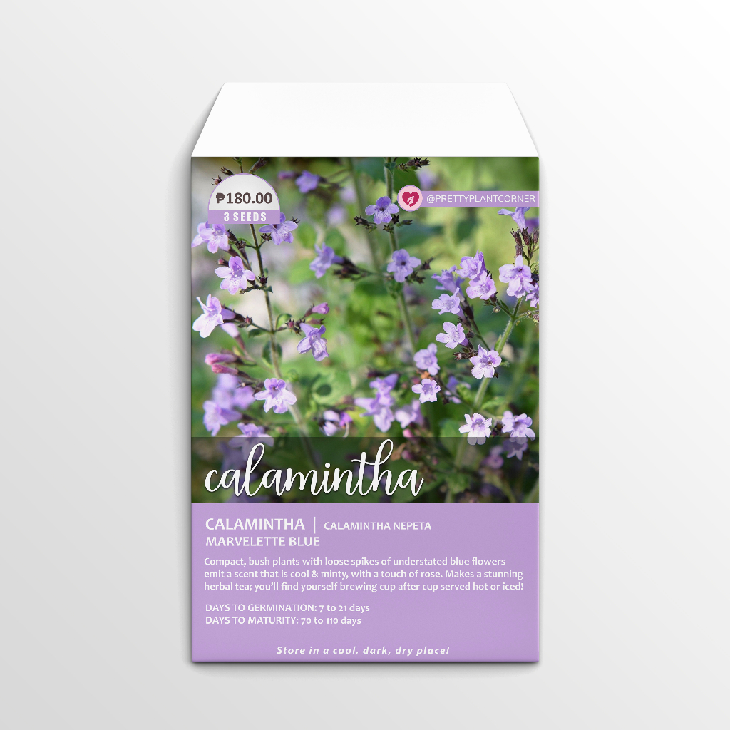 Marvelette Blue Calamintha Herb Seeds | Shopee Philippines
