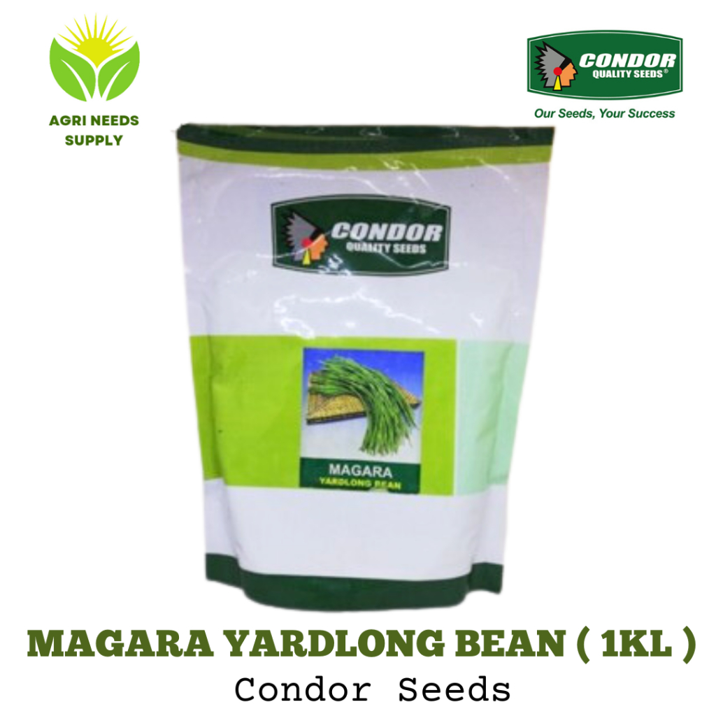 Condor Magara Yardlong Bean ( 1kl ) | Shopee Philippines