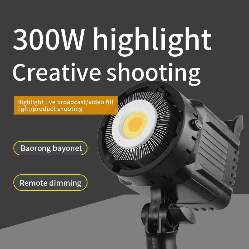 New Professional Studio Flash Light Strobe Studio lighting for ...