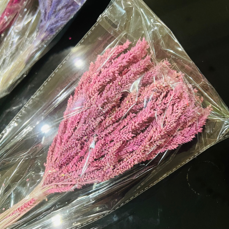 Dried Trigo Grass(LOCAL) | Shopee Philippines