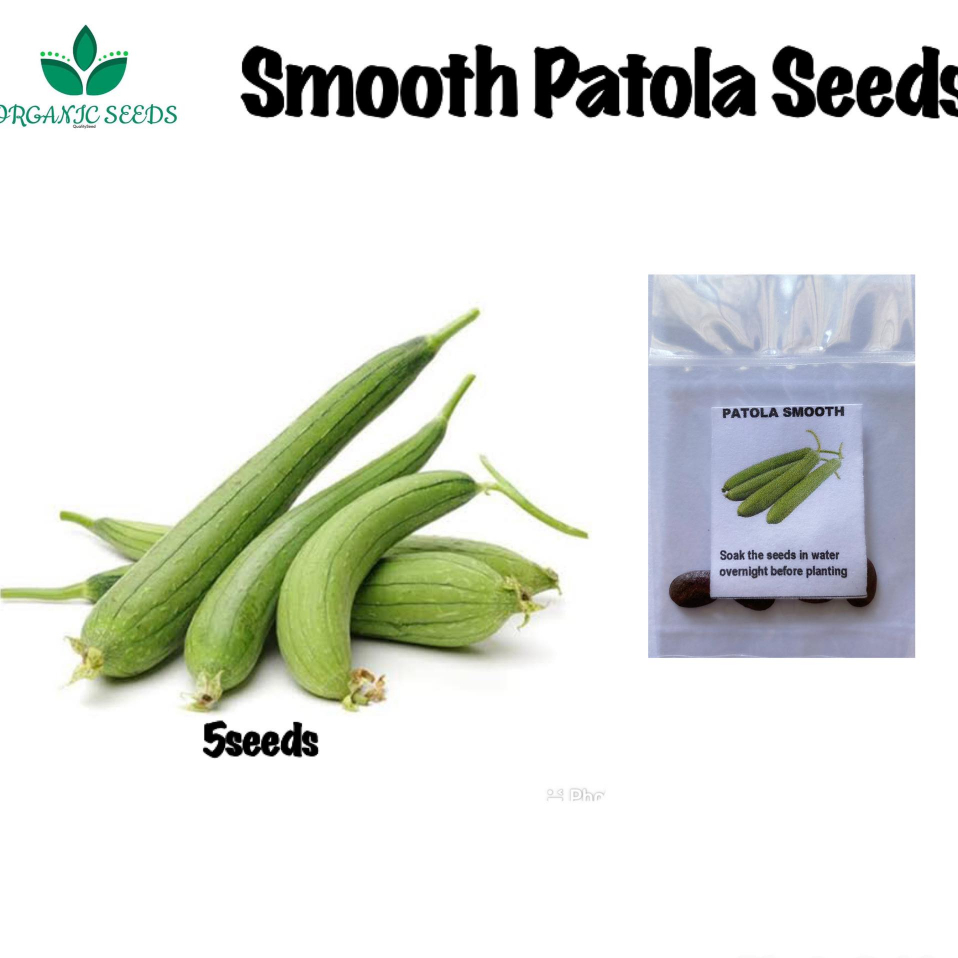 Patola Smooth/Hybrid (5pcs seeds) | Shopee Philippines