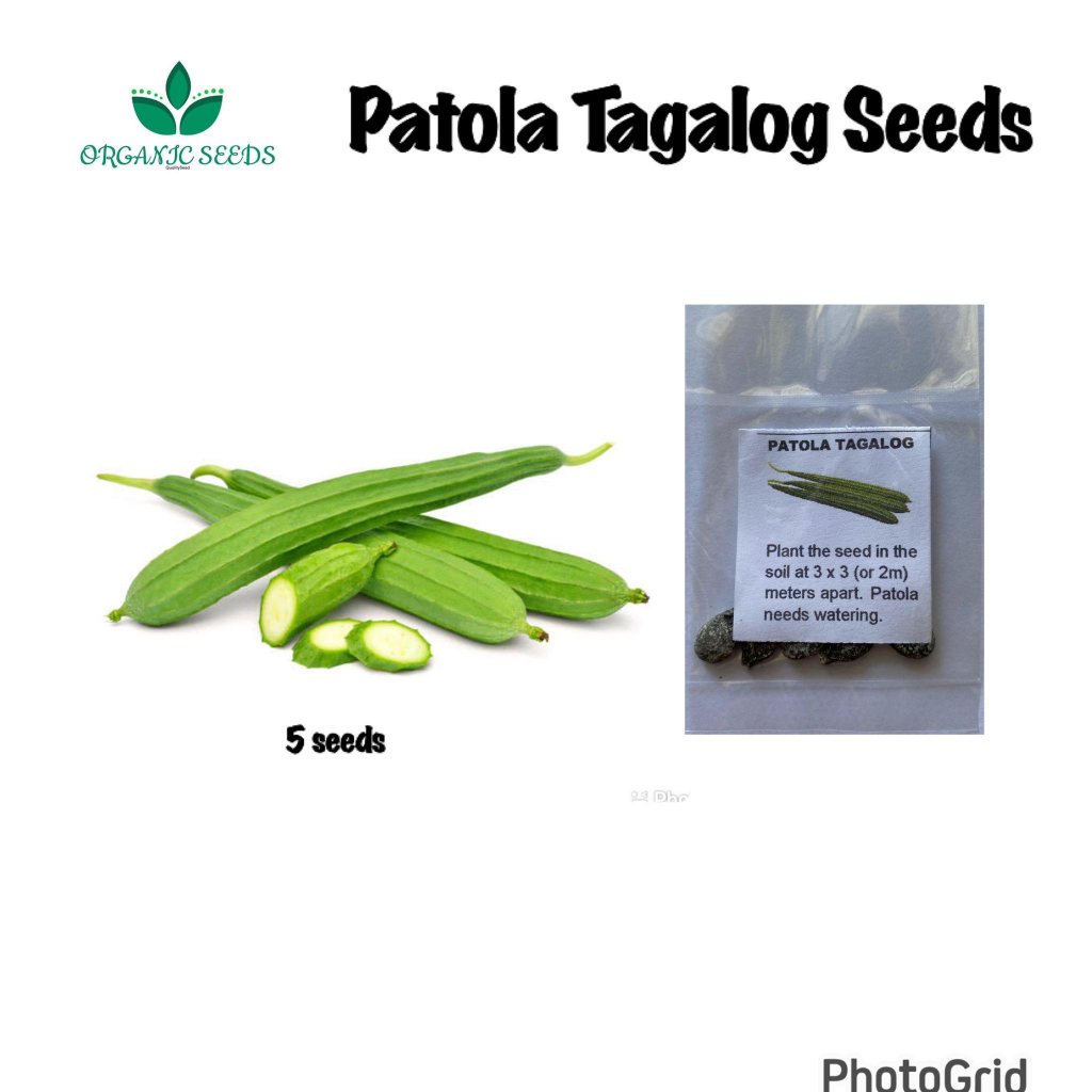 Patola Tagalog/Native - (5pcs seeds) | Shopee Philippines