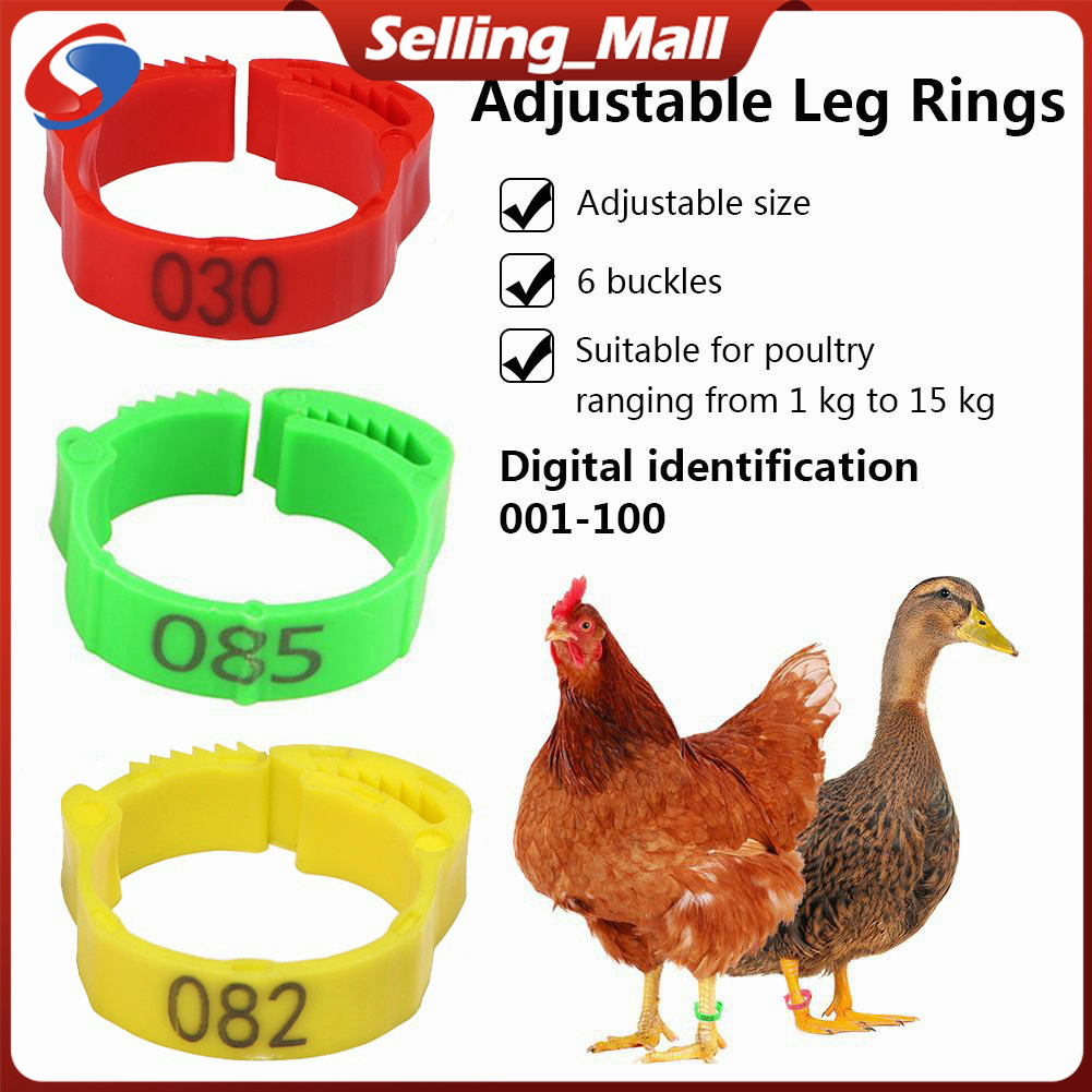 Shopee Philippines | Shop Online with Promos and Vouchers